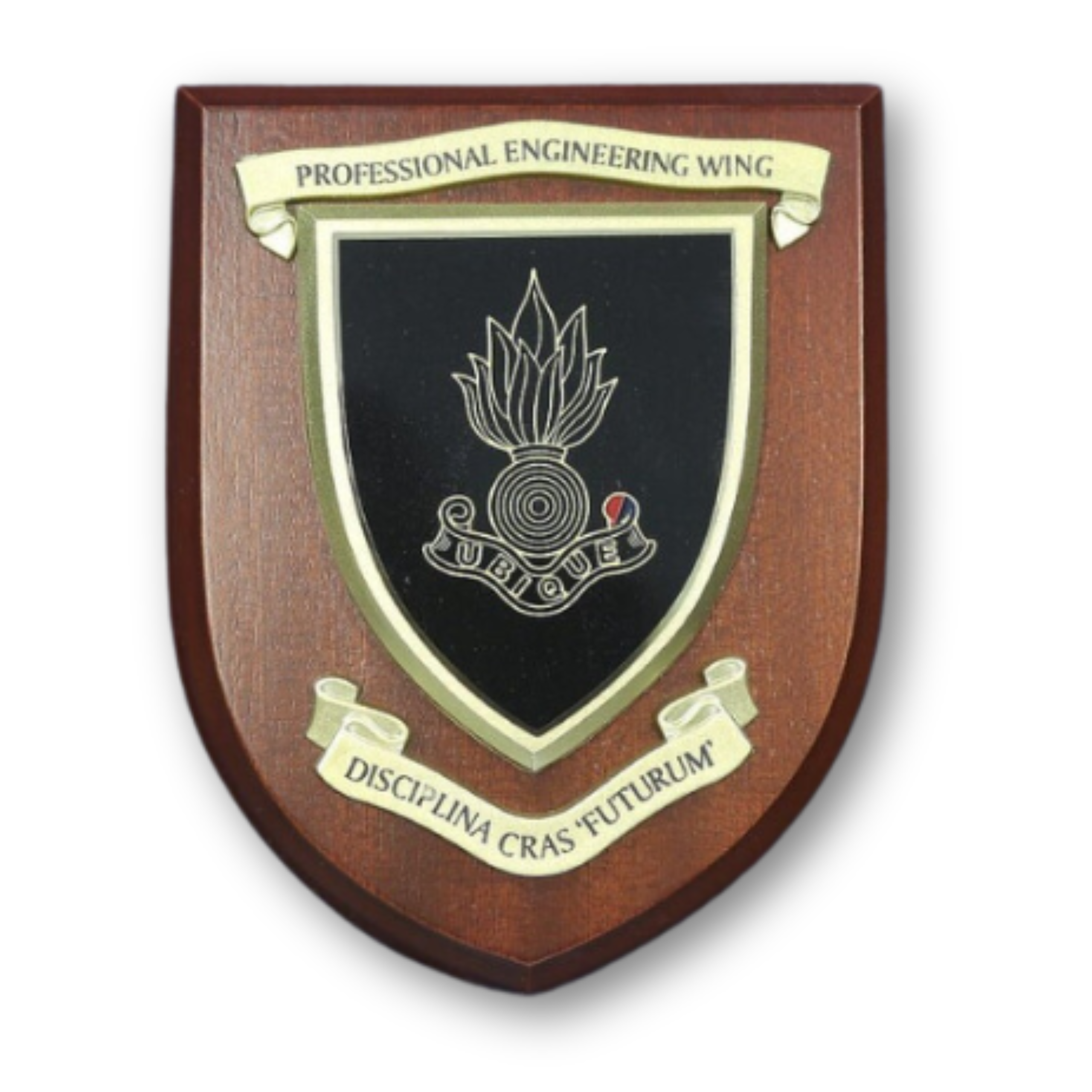 Traditional Professional Engineering Wing Plaque | The Sapper Shop